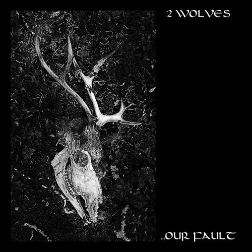 2 Wolves Albums: songs, discography, biography, and listening guide ...