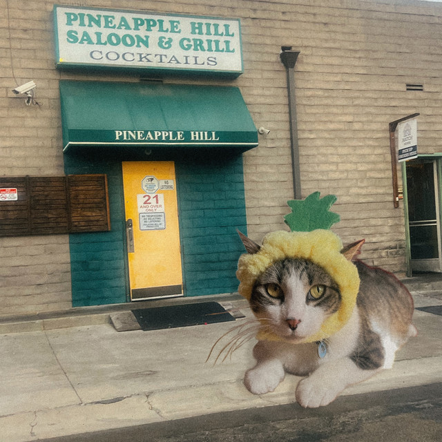 Pineapple Hill by Sophie Holohan (Single; n/a): Reviews, Ratings, Credits, Song list - Rate Your ...