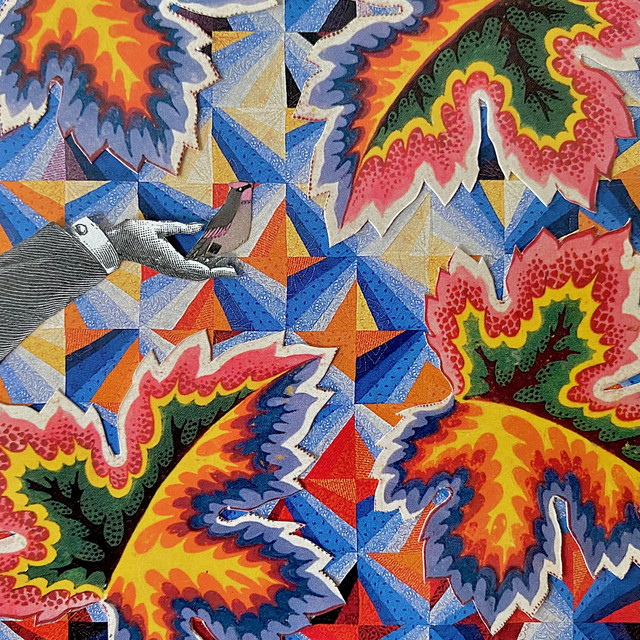 DLZMKSBTS Albums: songs, discography, biography, and listening guide ...