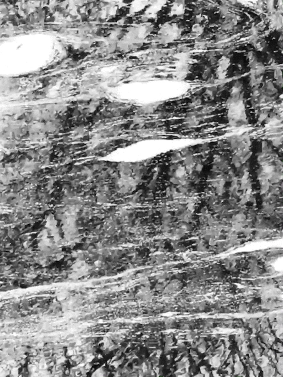 Lucy Greeves Albums: songs, discography, biography, and listening guide ...