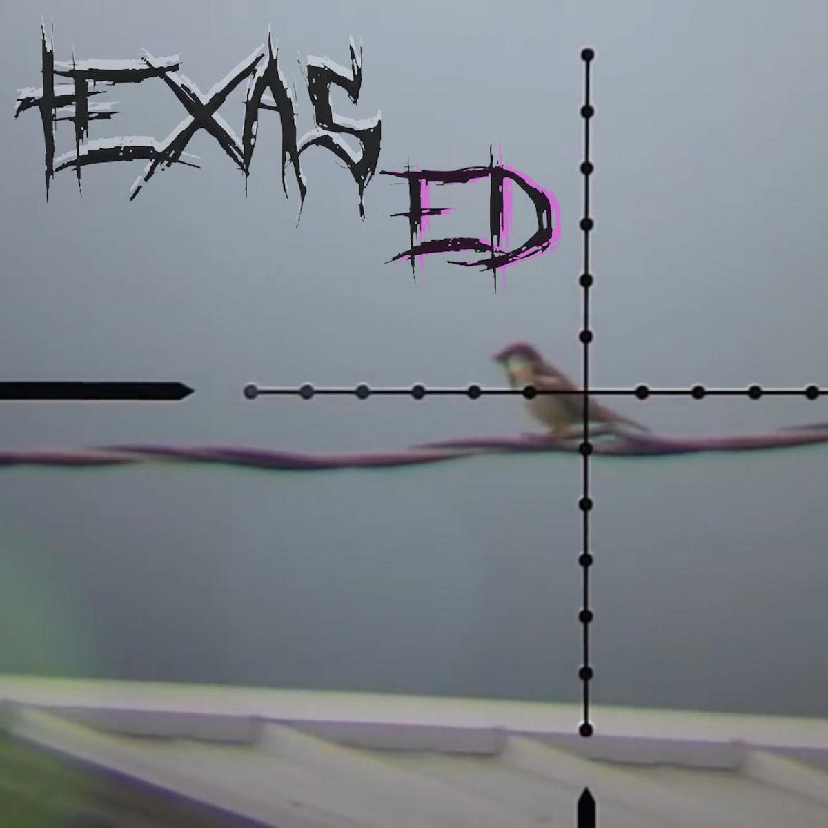 Texas Ed Albums: songs, discography, biography, and listening guide ...