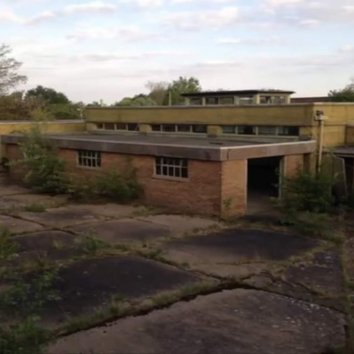 lonomia obliqua by Mothgirl & Eric North (Single): Reviews, Ratings ...