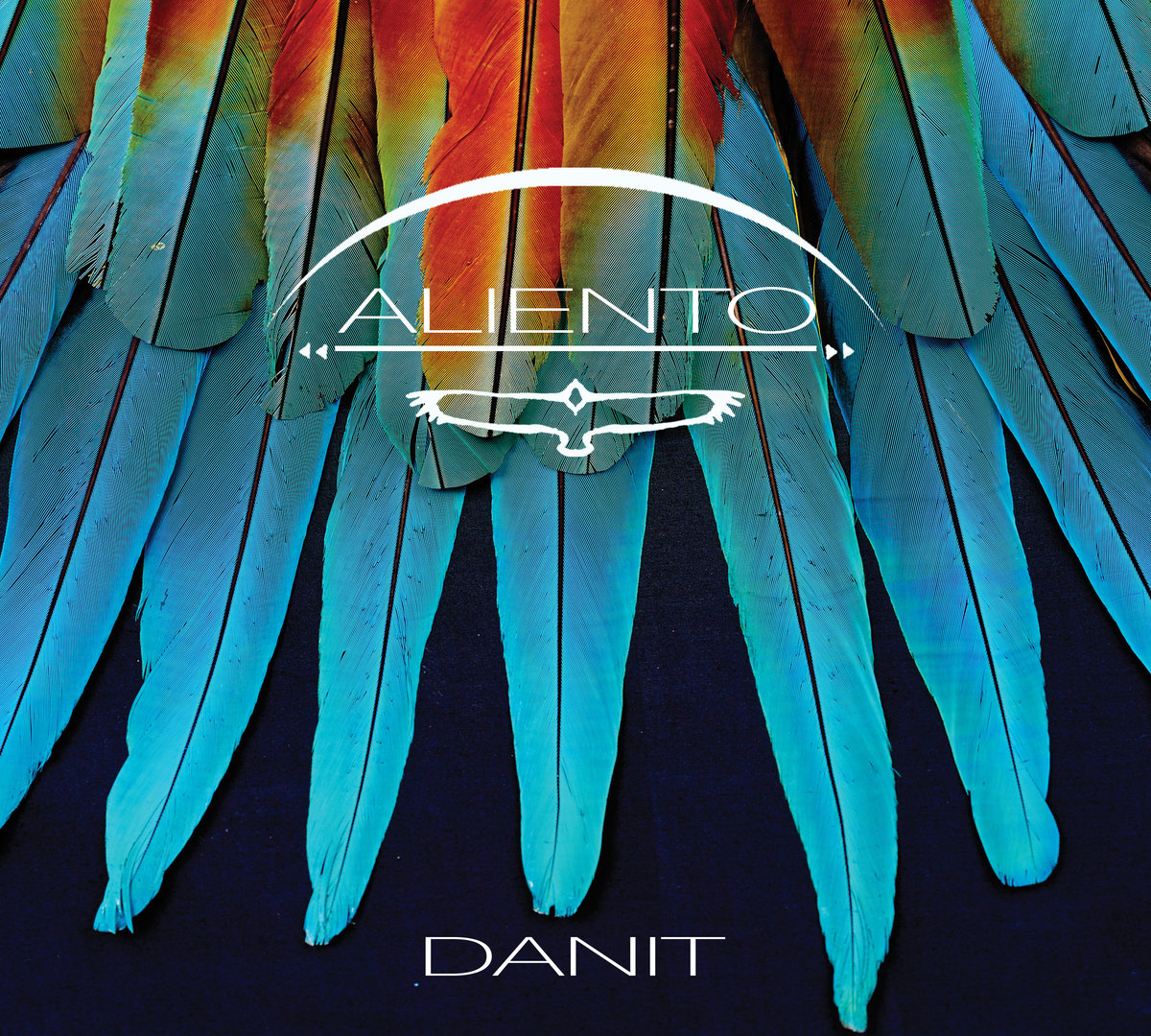 Danit Albums: songs, discography, biography, and listening guide - Rate ...