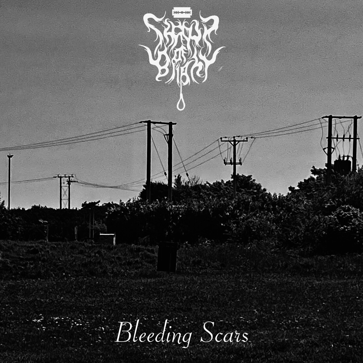 Bleeding Scars by Shroud of Blight (Single): Reviews, Ratings, Credits, Song list - Rate Your Music