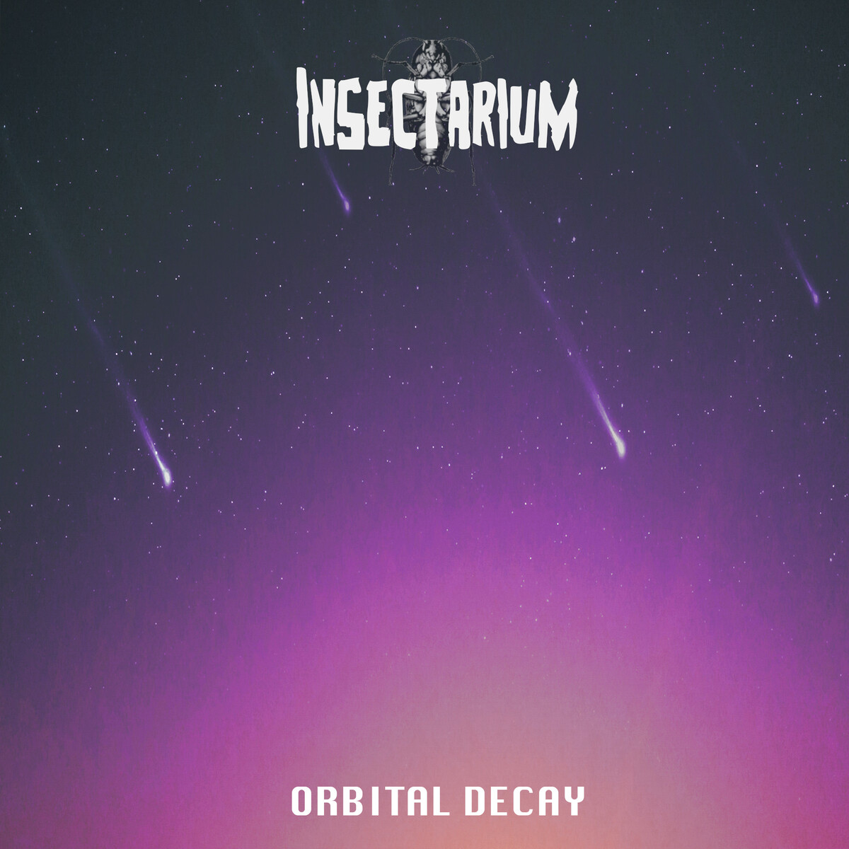 Orbital Decay by insectarium (Album): Reviews, Ratings, Credits, Song ...