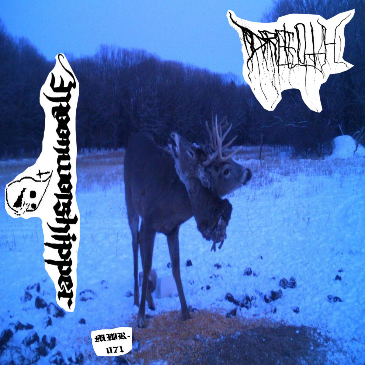 Dreloth Albums: songs, discography, biography, and listening guide ...