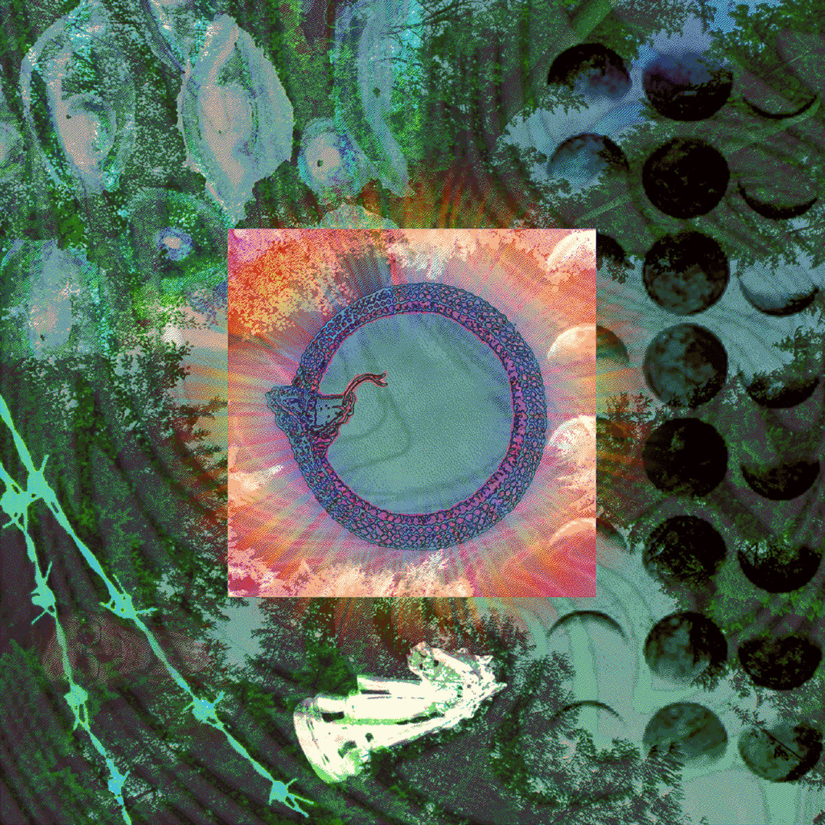 To Fire Clay by Prizes Roses Rosa (Album, Neo-Psychedelia): Reviews ...