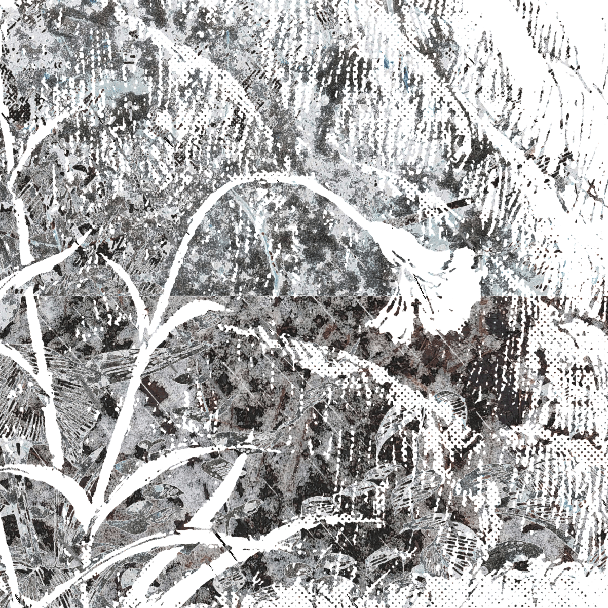 Most popular Harsh Noise Wall EPs of 2023 - Rate Your Music