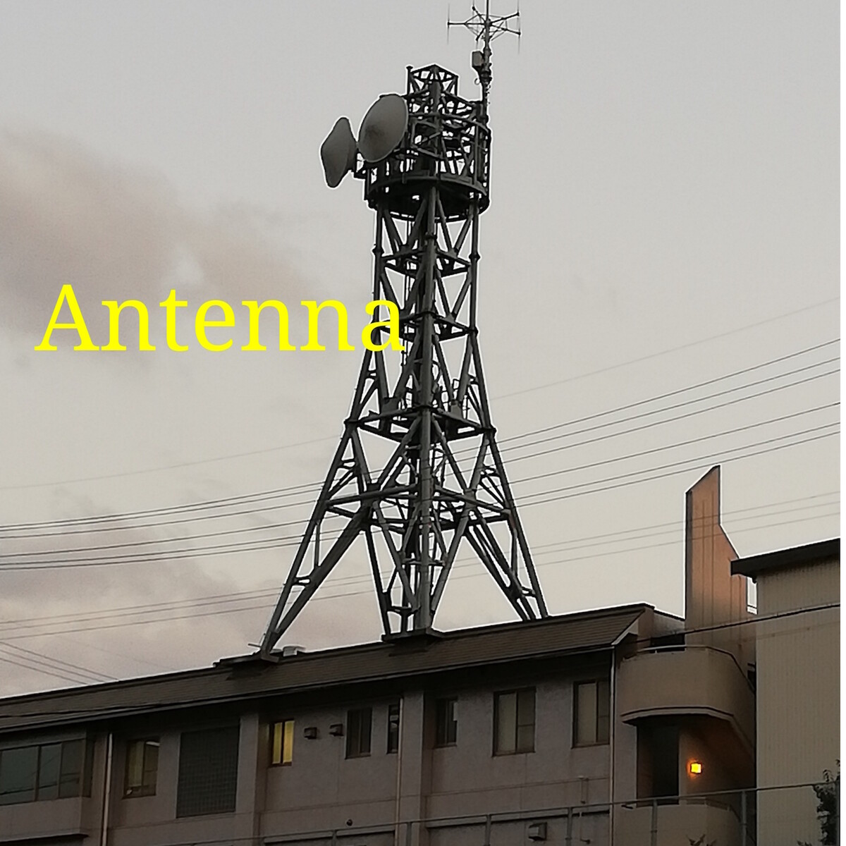 Antenna by Michiru Aoyama (Album): Reviews, Ratings, Credits, Song list ...