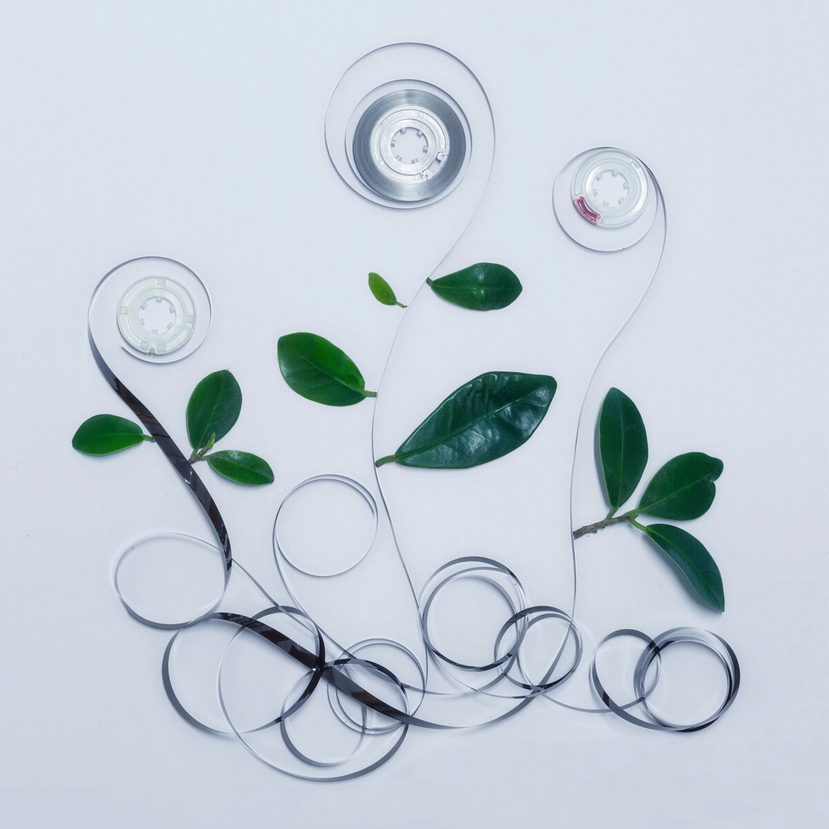 Linger by Giannis Gogos (Album; Whitelabrecs; WLR159): Reviews, Ratings ...