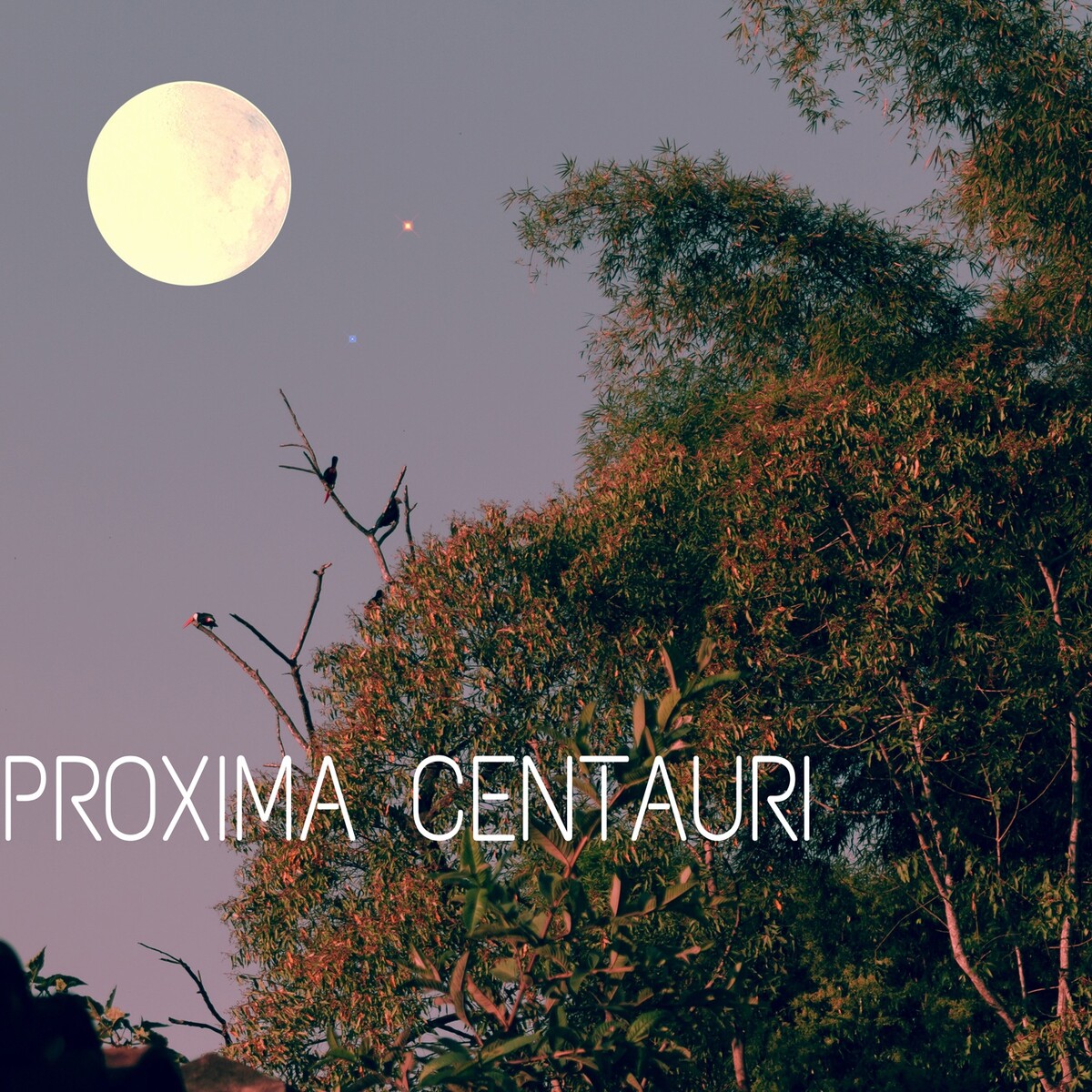 Proxima Centauri by tounoir (Single, Indie Pop): Reviews, Ratings ...