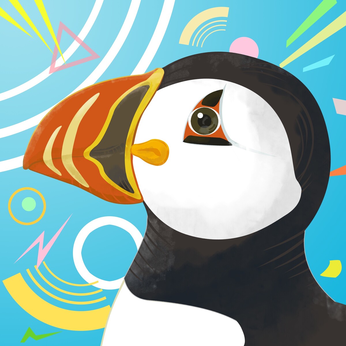 Puffin Drawing Song "Not a Penguin" by Onomatopel (Single): Reviews ...