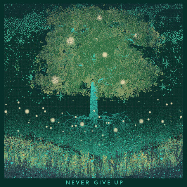 Never Give Up by Tors (Single): Reviews, Ratings, Credits, Song list ...