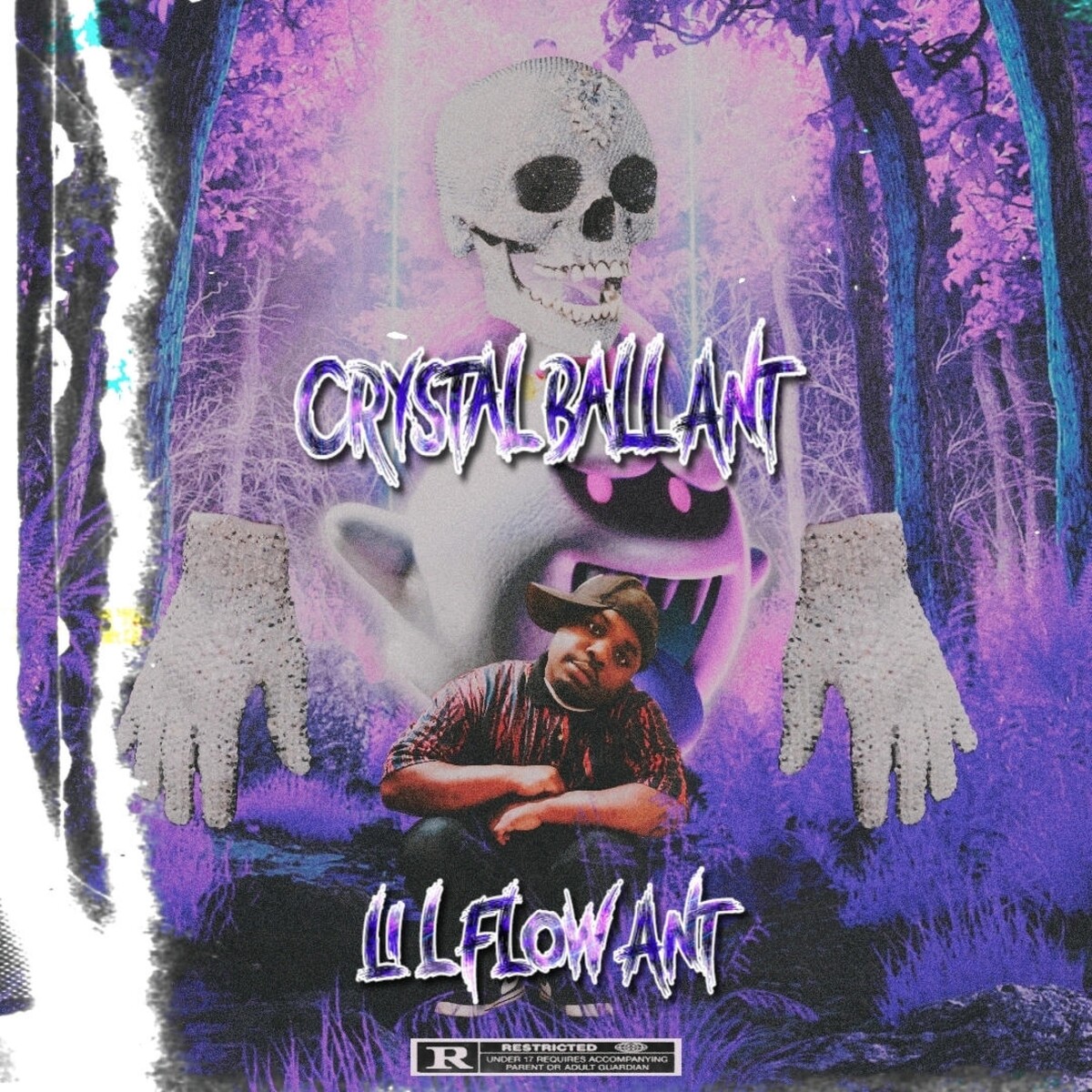 Li'l Flow Ant by Crystal Ball Ant (Album): Reviews, Ratings, Credits ...