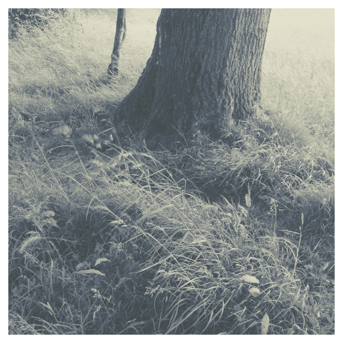 Peninsula by Huw Morgan (Album): Reviews, Ratings, Credits, Song list ...