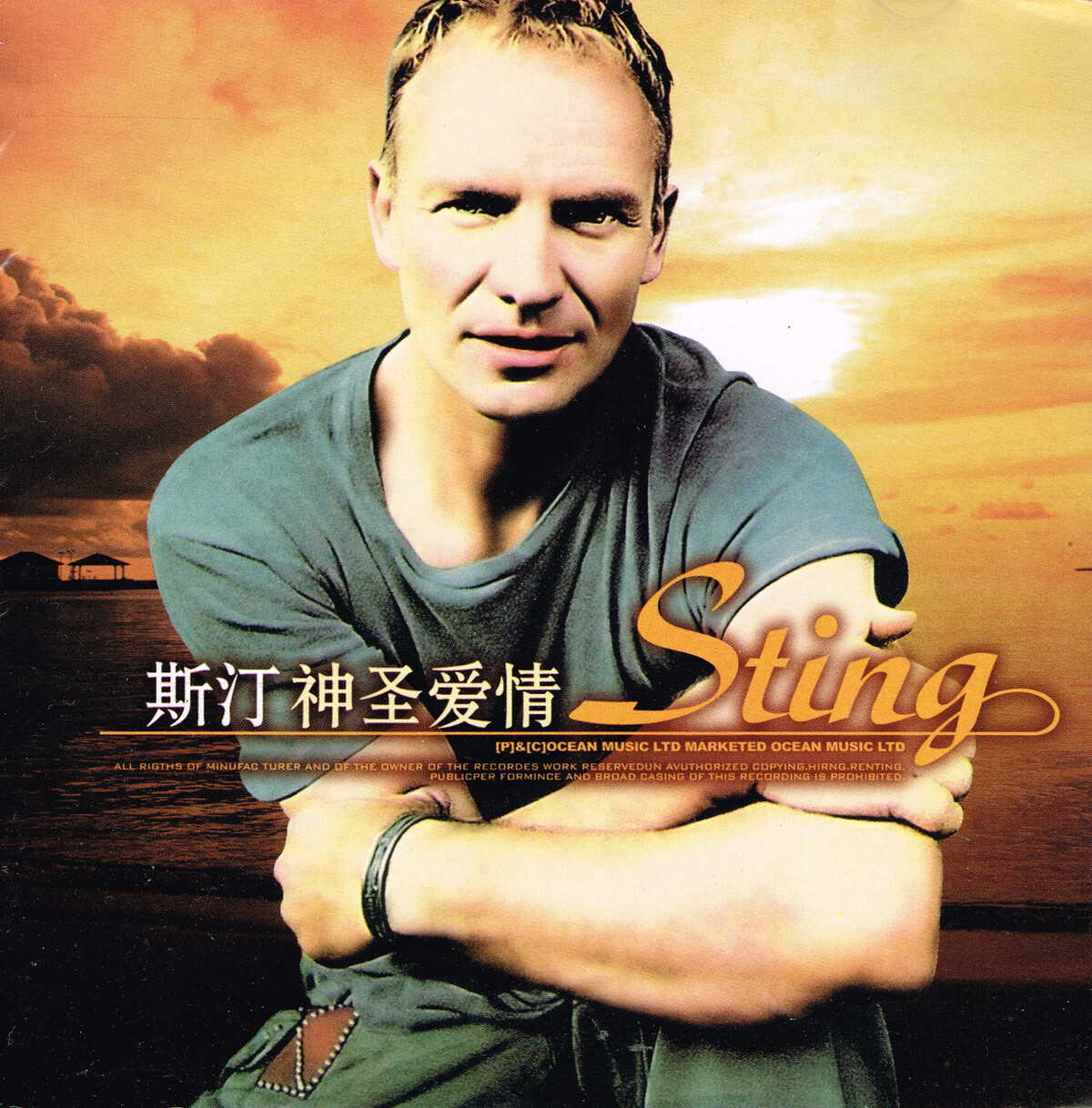 Sting Albums: songs, discography, biography, and listening guide - Rate ...