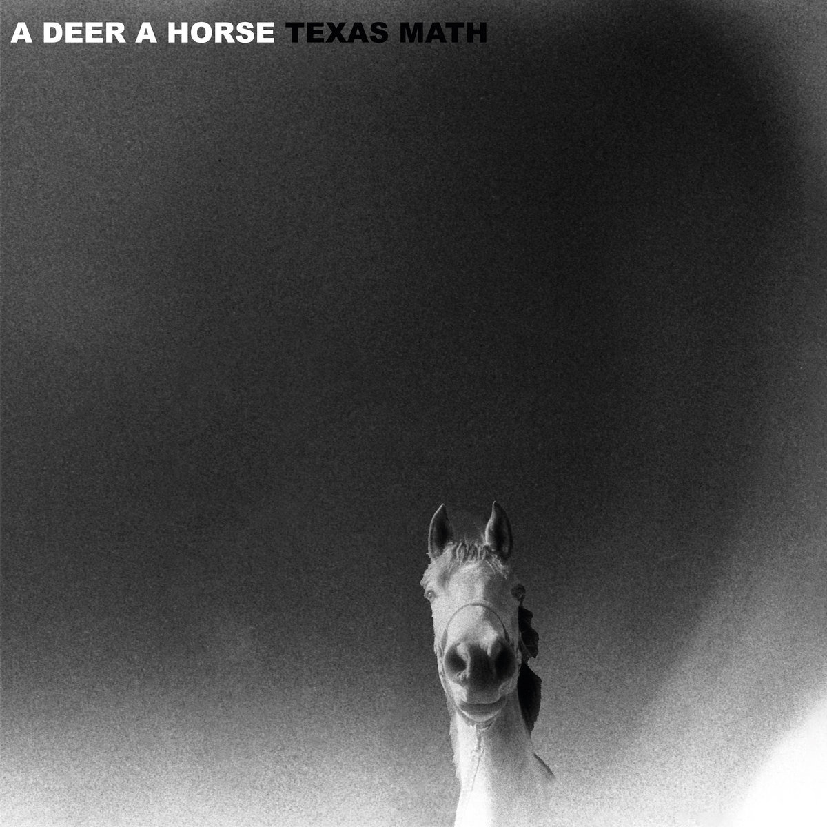 Texas Math by A Deer A Horse (Album): Reviews, Ratings, Credits, Song ...