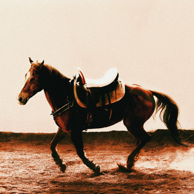 Chula by Armenta & Joaquin Medina (Single): Reviews, Ratings, Credits ...