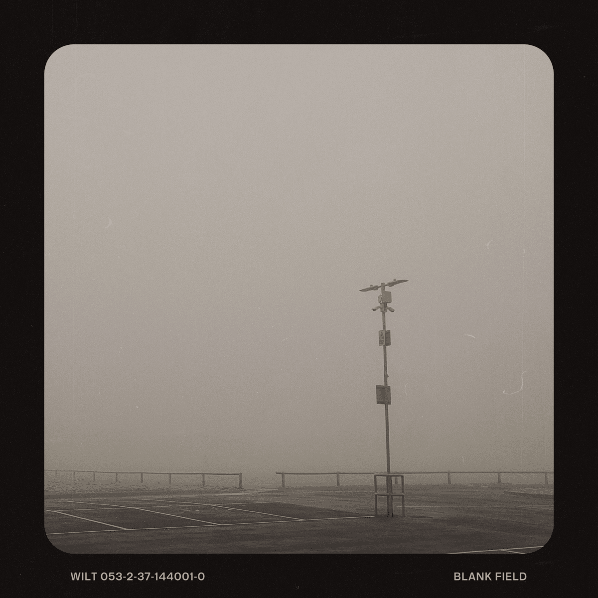 Blank Field by Wilt (Single, Shoegaze): Reviews, Ratings, Credits, Song ...