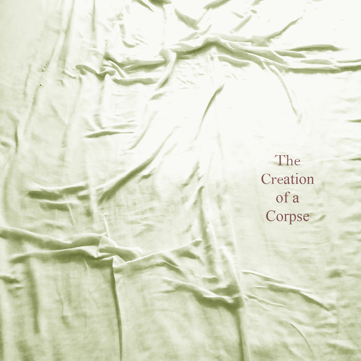 The Creation of a Corpse by Damien De Coene (Album): Reviews, Ratings ...