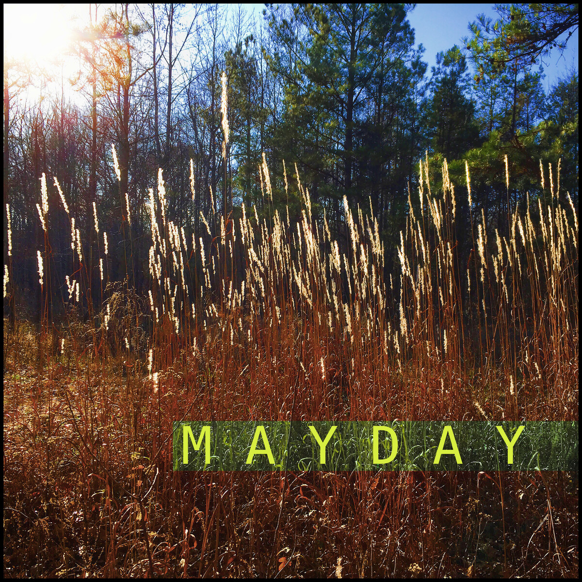 May Day by Sumner James (Album): Reviews, Ratings, Credits, Song list ...
