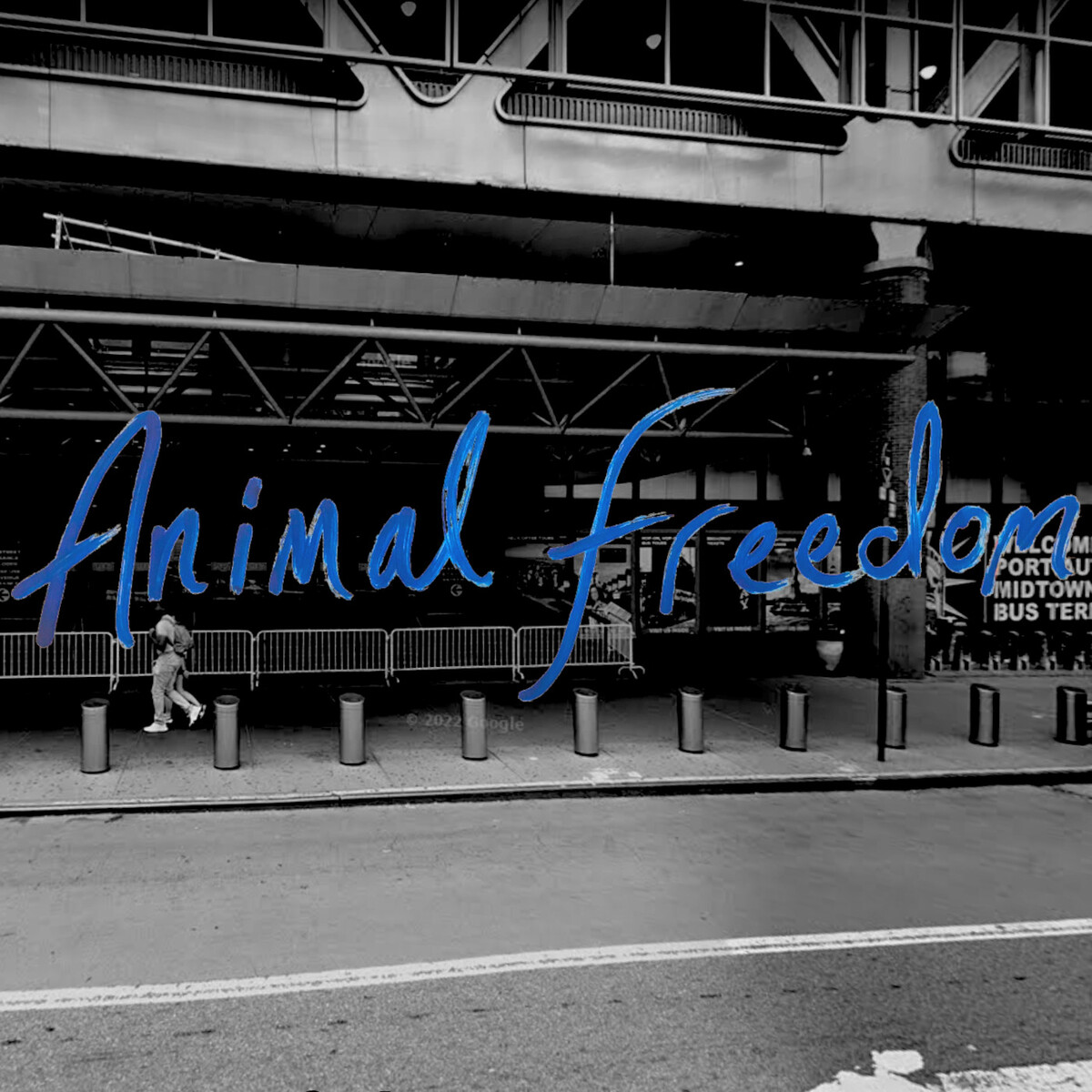 Animal Freedom by The Cradle (EP): Reviews, Ratings, Credits, Song list ...