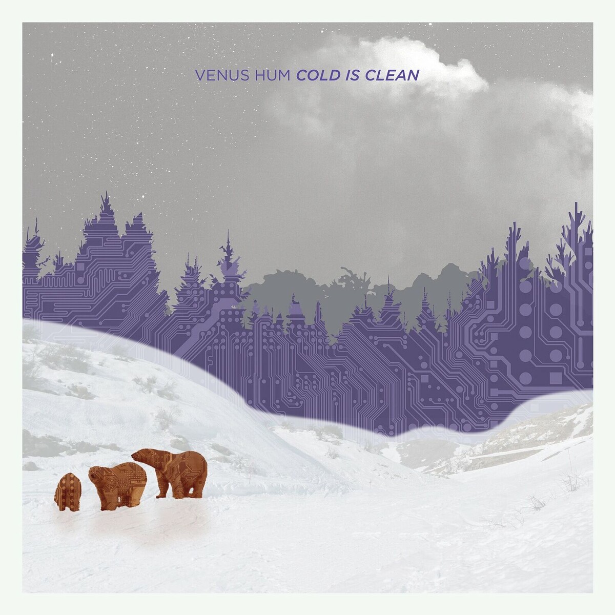 Cold Is Clean by Venus Hum (Single, Synthpop): Reviews, Ratings ...