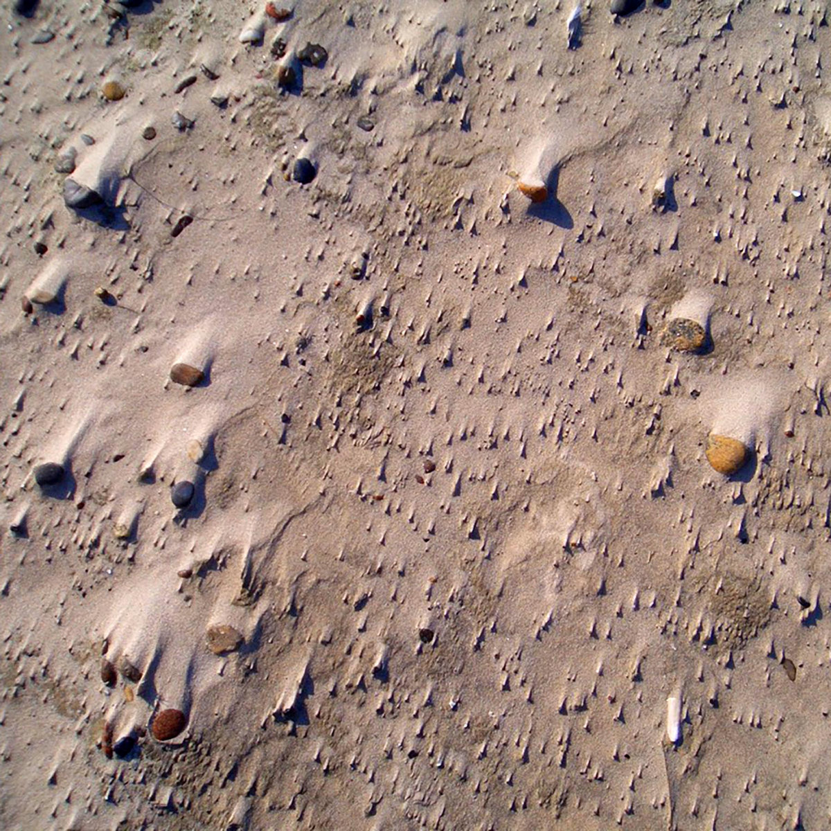 Sfeer by Moonder (Single): Reviews, Ratings, Credits, Song list - Rate ...