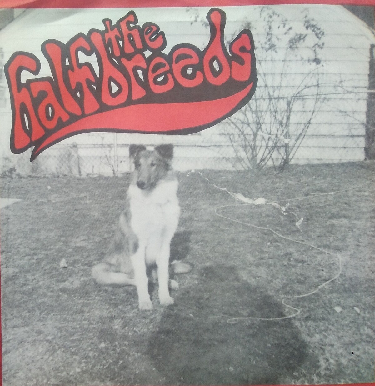 The Halfbreeds by The Halfbreeds (Single): Reviews, Ratings, Credits ...