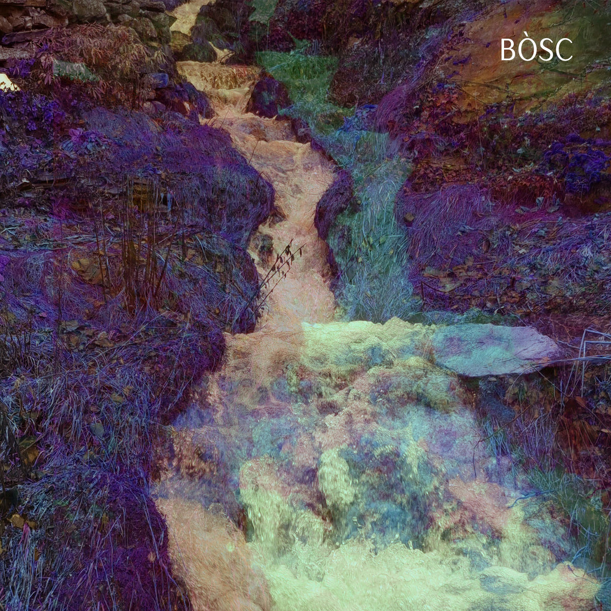Bòsc by Bòsc (Album, Avant-Folk): Reviews, Ratings, Credits, Song list ...