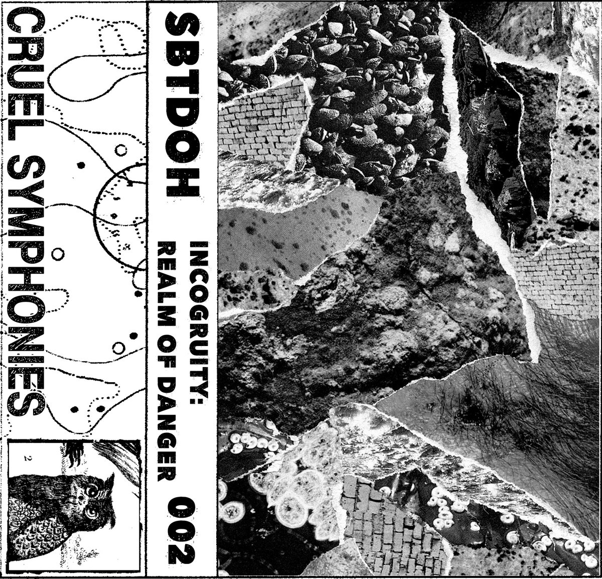 Incongruity: Realm of Danger by SBTDOH (Album): Reviews, Ratings ...