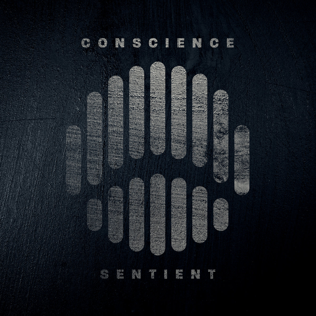 Sentient by Conscience (Album): Reviews, Ratings, Credits, Song list ...