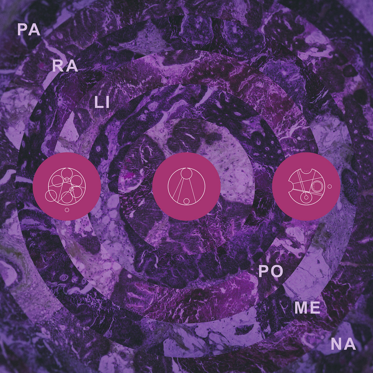 Pillars of Cacophony Albums: songs, discography, biography, and ...