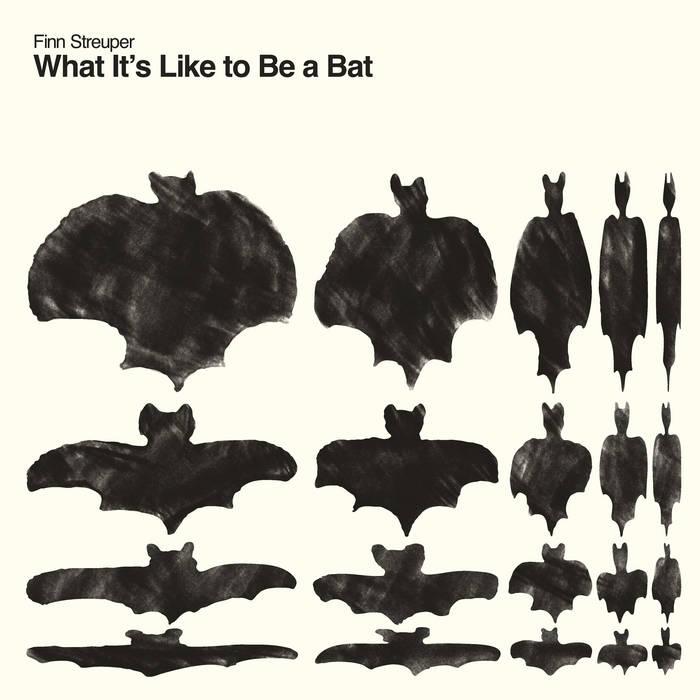 What It's Like to Be a Bat by Finn Streuper (Album, ECM Style Jazz ...