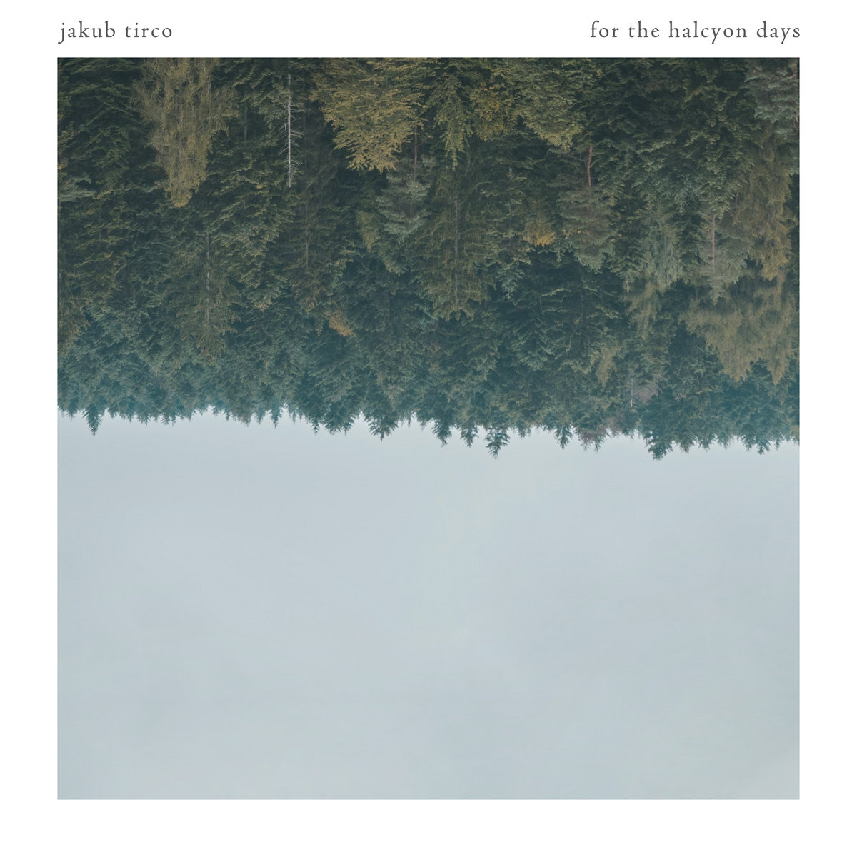 For the Halcyon Days by Jakub Tirco (Single): Reviews, Ratings, Credits ...