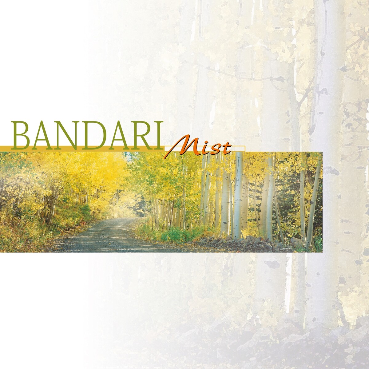 Bandari Albums: songs, discography, biography, and listening guide ...