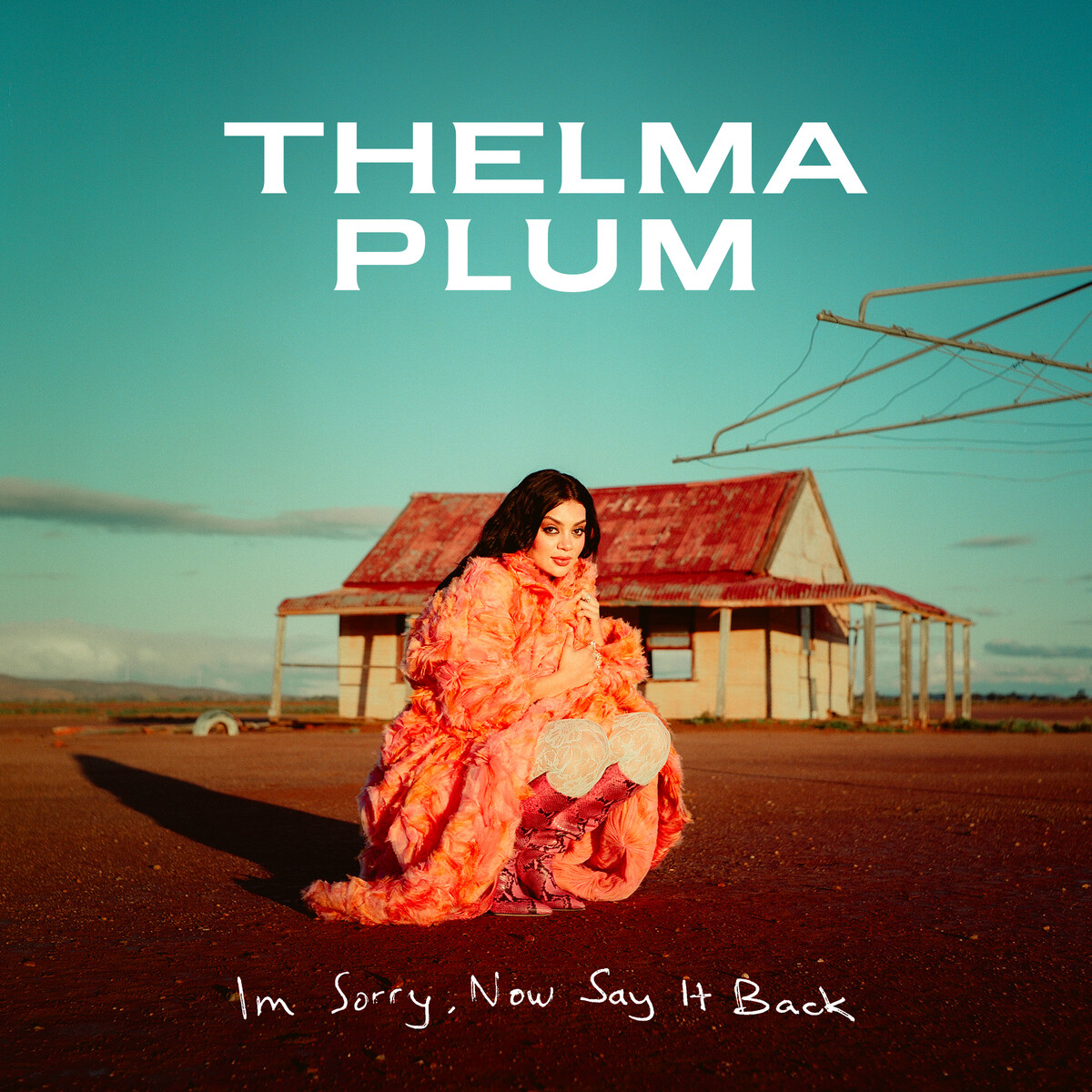 I'm Sorry, Now Say It Back by Thelma Plum (Album): Reviews, Ratings ...