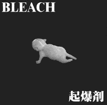 Bleach Albums: songs, discography, biography, and listening guide ...