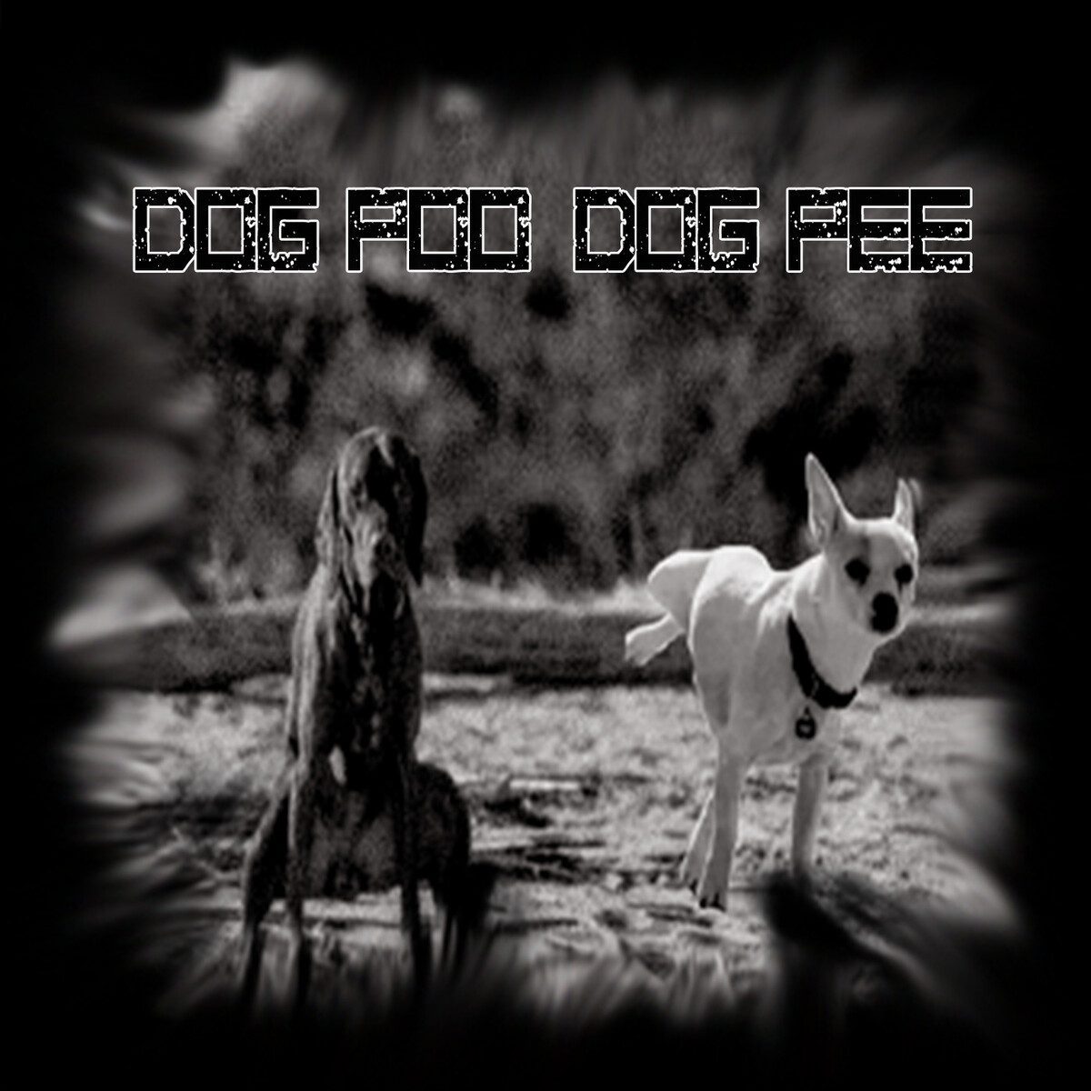 DOG POO / DOG PEE Albums: songs, discography, biography, and listening ...