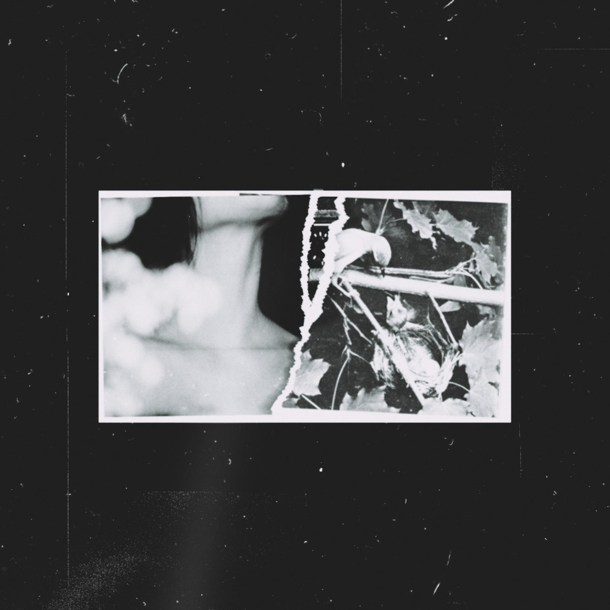 143 (JCM) by To Be Gentle (Single): Reviews, Ratings, Credits, Song list - Rate Your Music