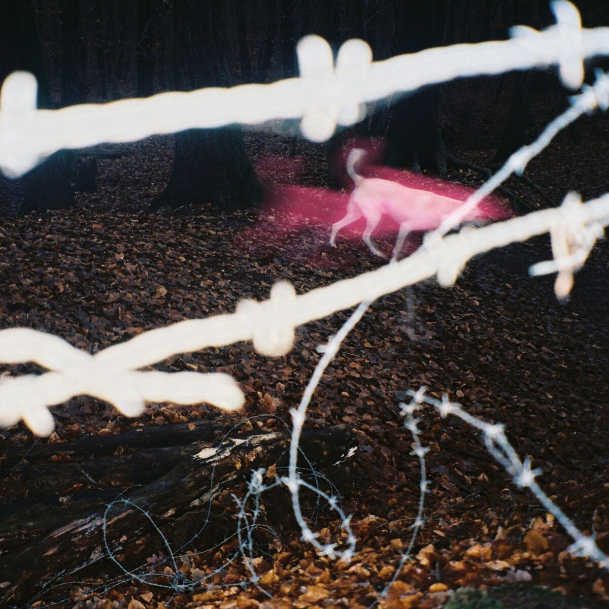 Hippie Trim Albums: songs, discography, biography, and listening guide ...