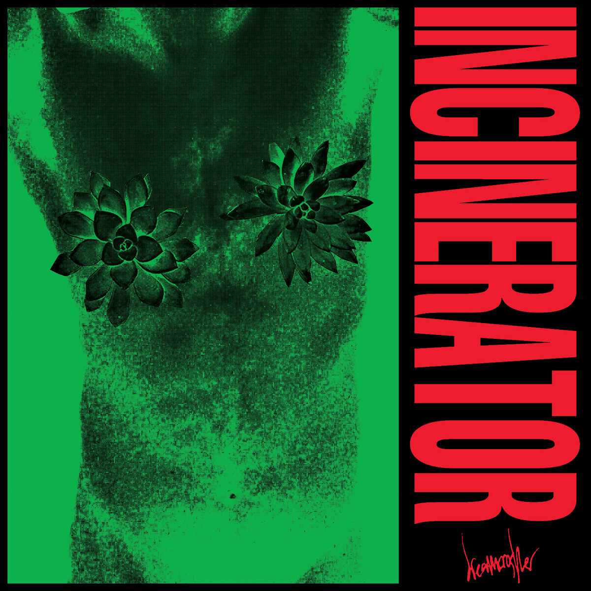 Dreamcrusher Albums: songs, discography, biography, and listening guide ...