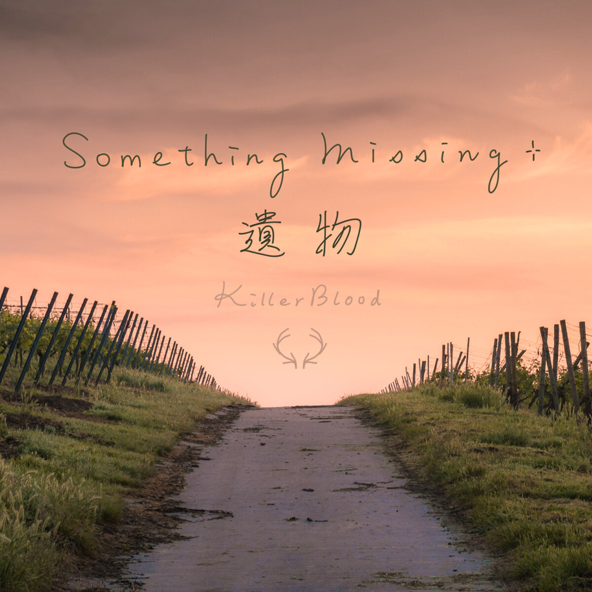 Something Missing 遺物 by KillerBlood (Single): Reviews, Ratings, Credits ...