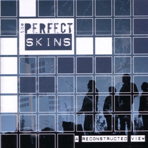A Reconstructed View by Perfect Skins (Album): Reviews, Ratings ...