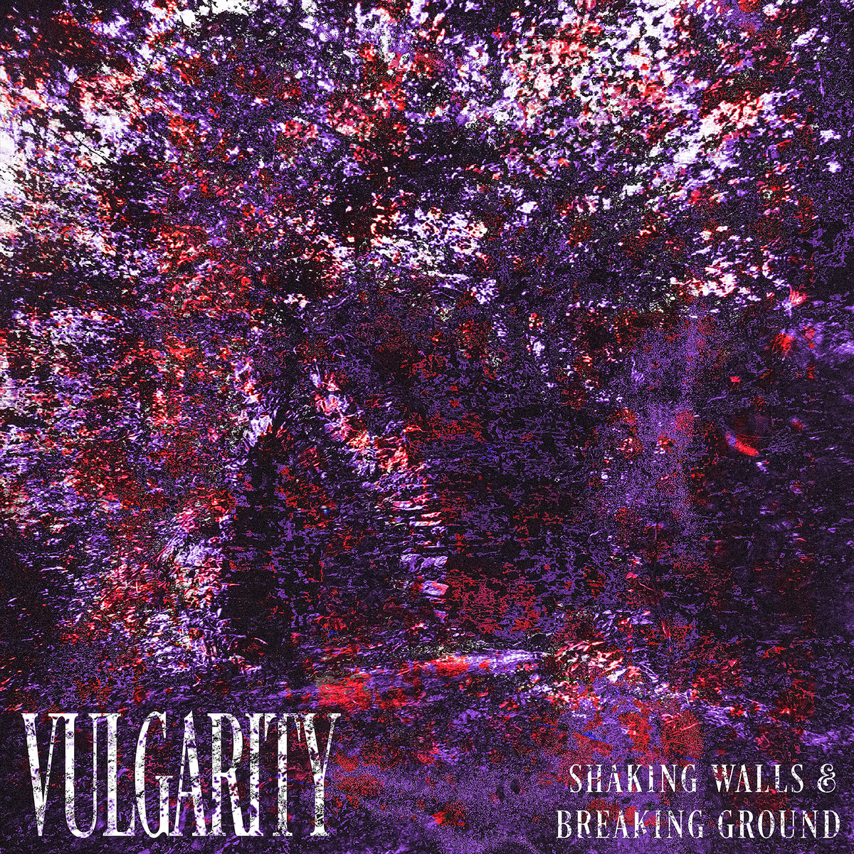 Shaking Walls & Breaking Ground by Vulgarity (Album, Metalcore ...