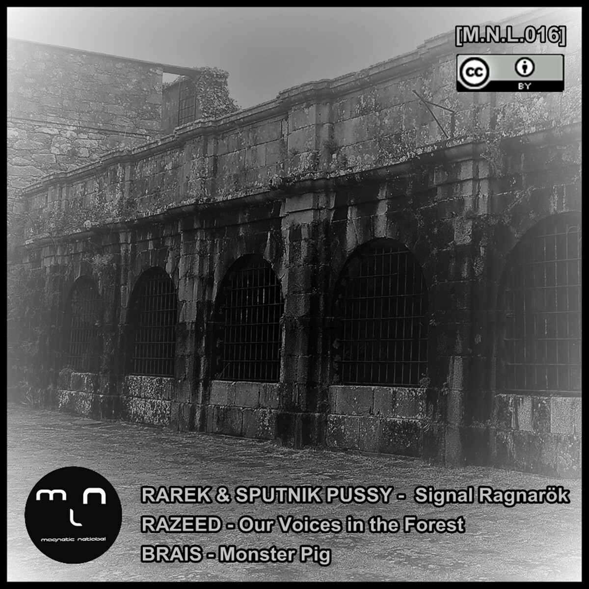 Various Artist 002 by Rarek & Sputnik Pussy / Razeed / Brais (EP): Reviews, Ratings, Credits ...