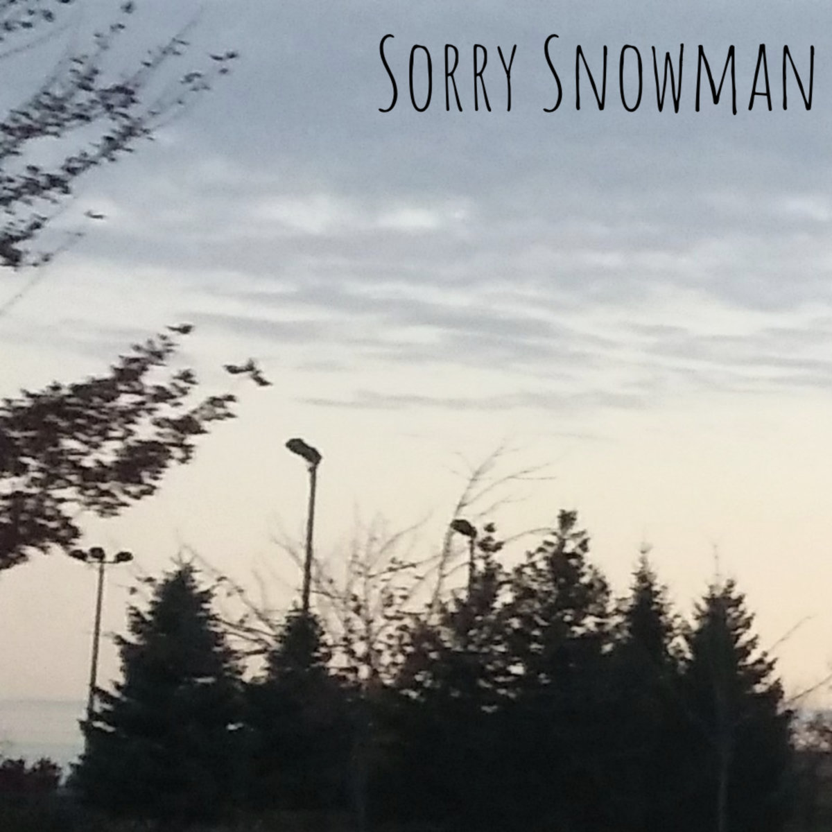 Sorry Snowman Albums: songs, discography, biography, and listening ...