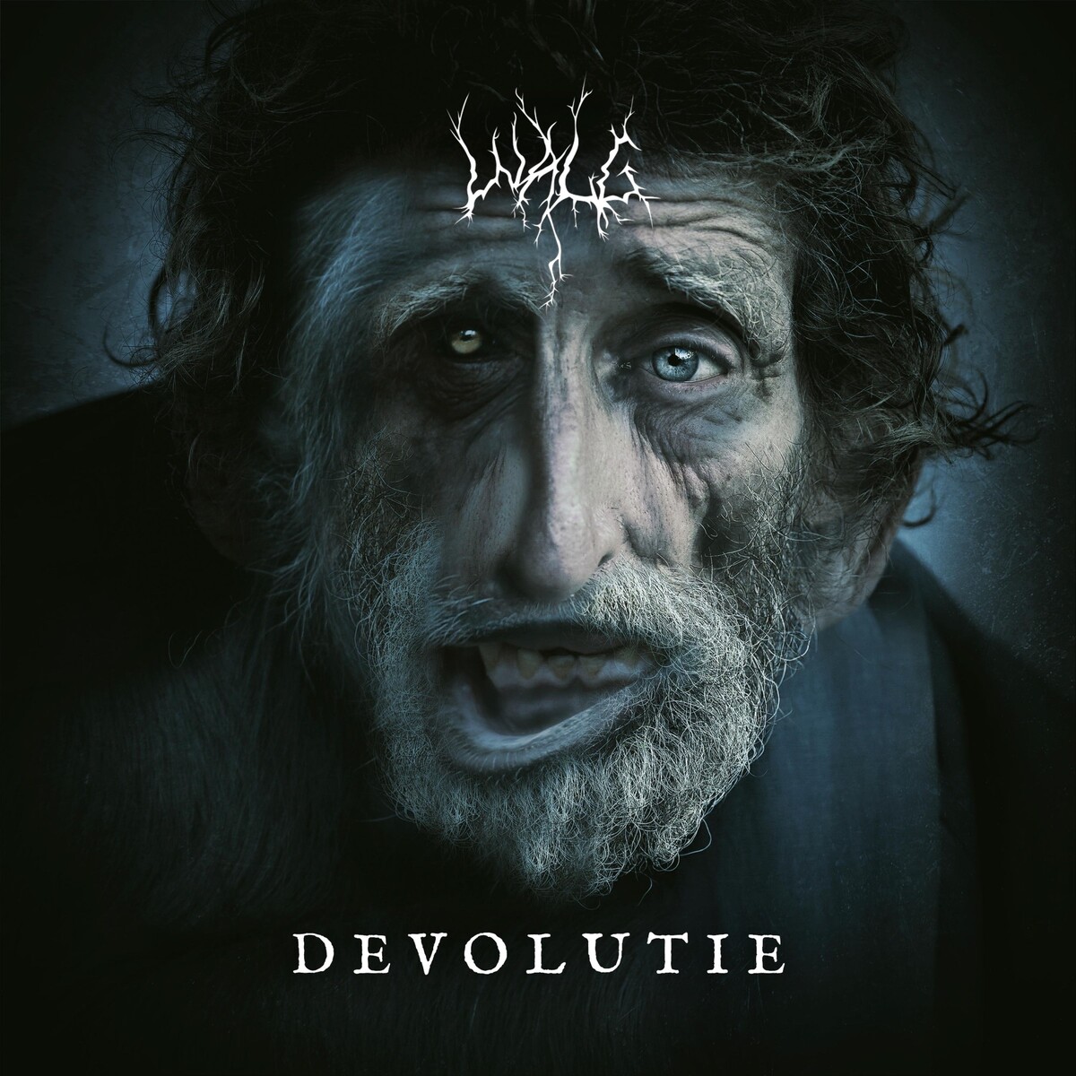 Devolutie by Walg (Single): Reviews, Ratings, Credits, Song list - Rate ...