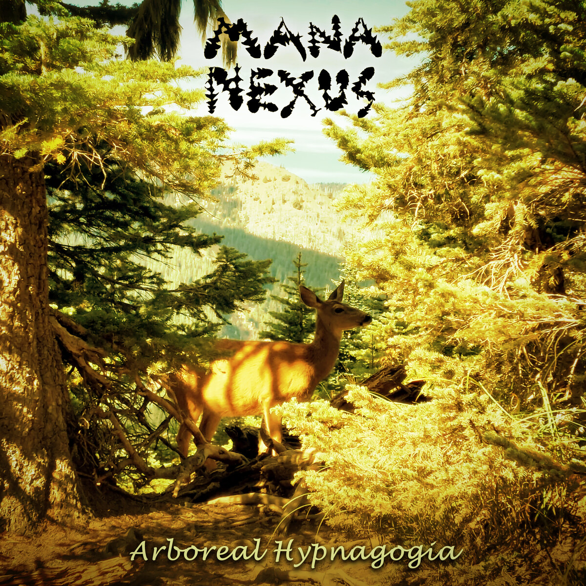 Arboreal Hypnagogia by Mana Nexus (Album, Atmospheric Black Metal): Reviews, Ratings, Credits ...