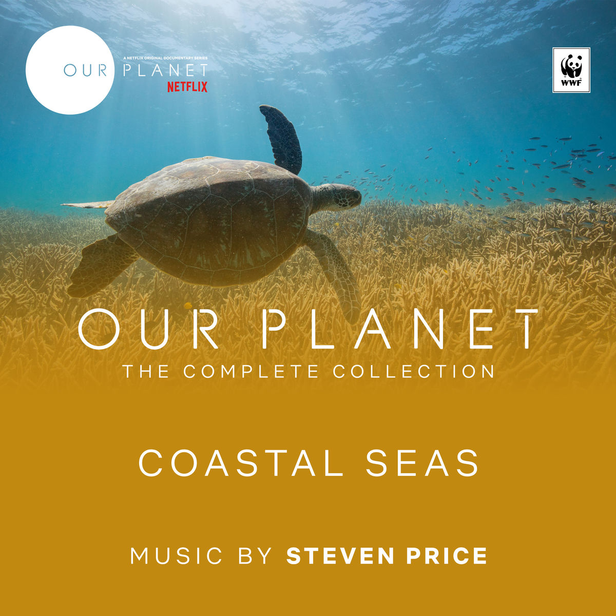 Our Planet (Episode 4: Coastal Seas) by Steven Price (Album, Television ...